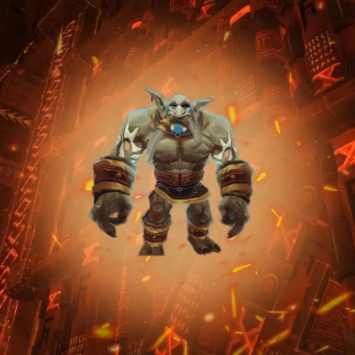 Buy Zandalar Tribe Reputation by Onlyfarms