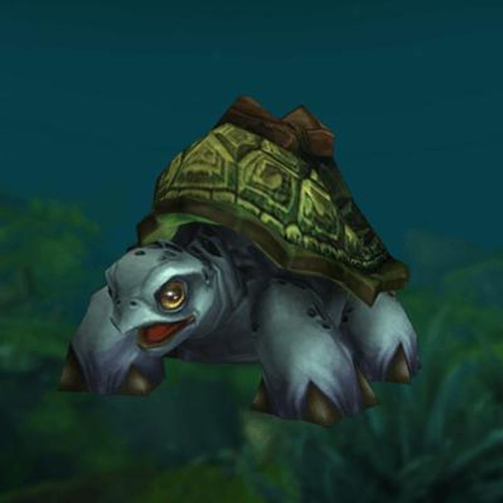 Buy WoW Sea Turtle Mount: Affordable Boost Services