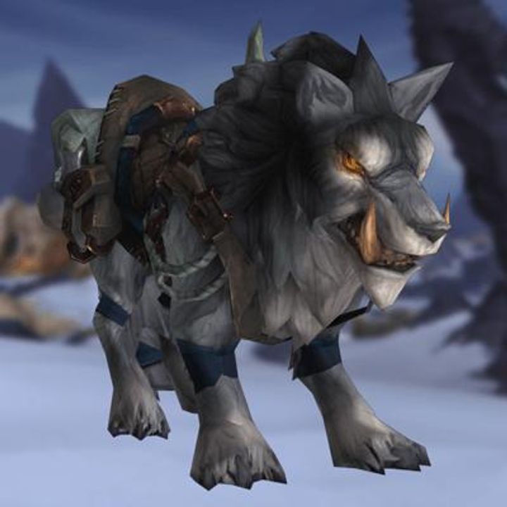 WoW Swift Frostwolf Mount Service